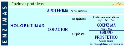 BIOLOGÍA 2º Bachillerato: Naturaleza química y estructura