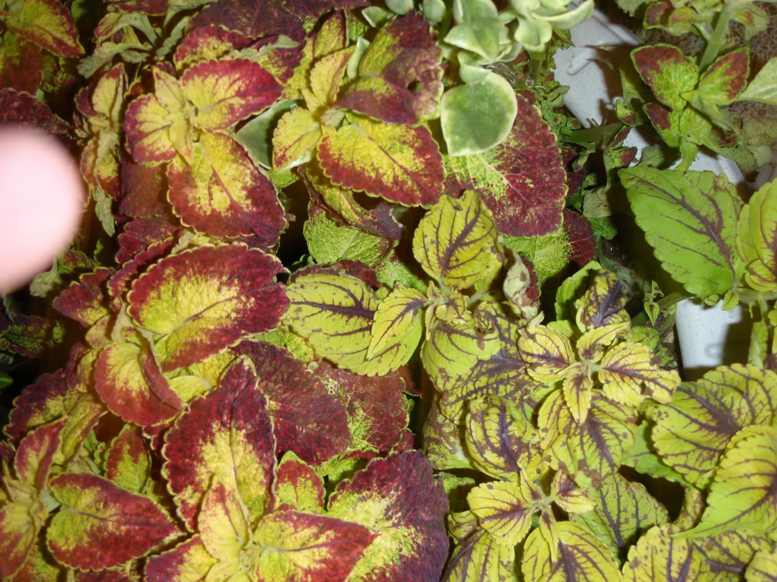 i360ALLDAY: Texture: Rough, Smooth, Bumpy, Fuzzy, Gooey, Sharp, Wet