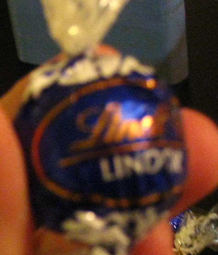 The Lint Filter: Lint's Favorite Candy for Christmas?