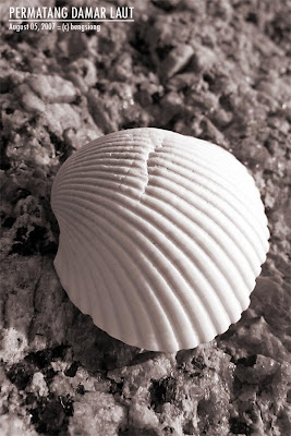 Frozen Fate: August 2007