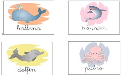 Cosiquines de AL: Tarjetas animales acuáticos