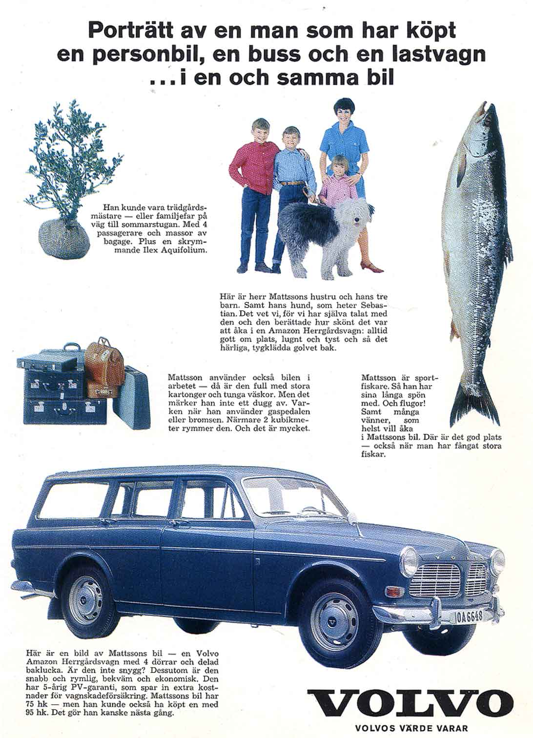 Kuriosapaviljongen: Från Volvo 220 till Amazon herrgårdsvagn