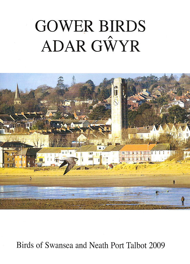 Gower Wildlife: Gower Birds 2009