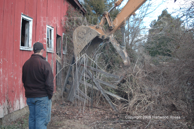 Hartwood Roses: Our Barn Restoration