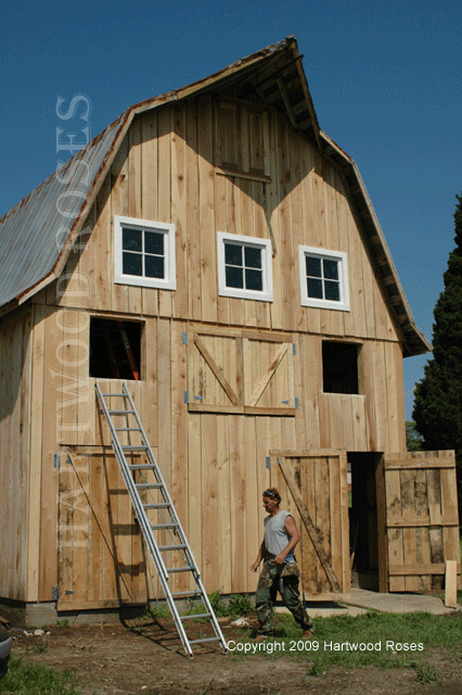 Hartwood Roses: Our Barn Restoration