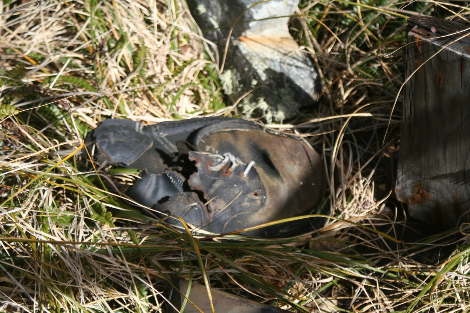 Big Falkland's Adventure: Wireless Ridge