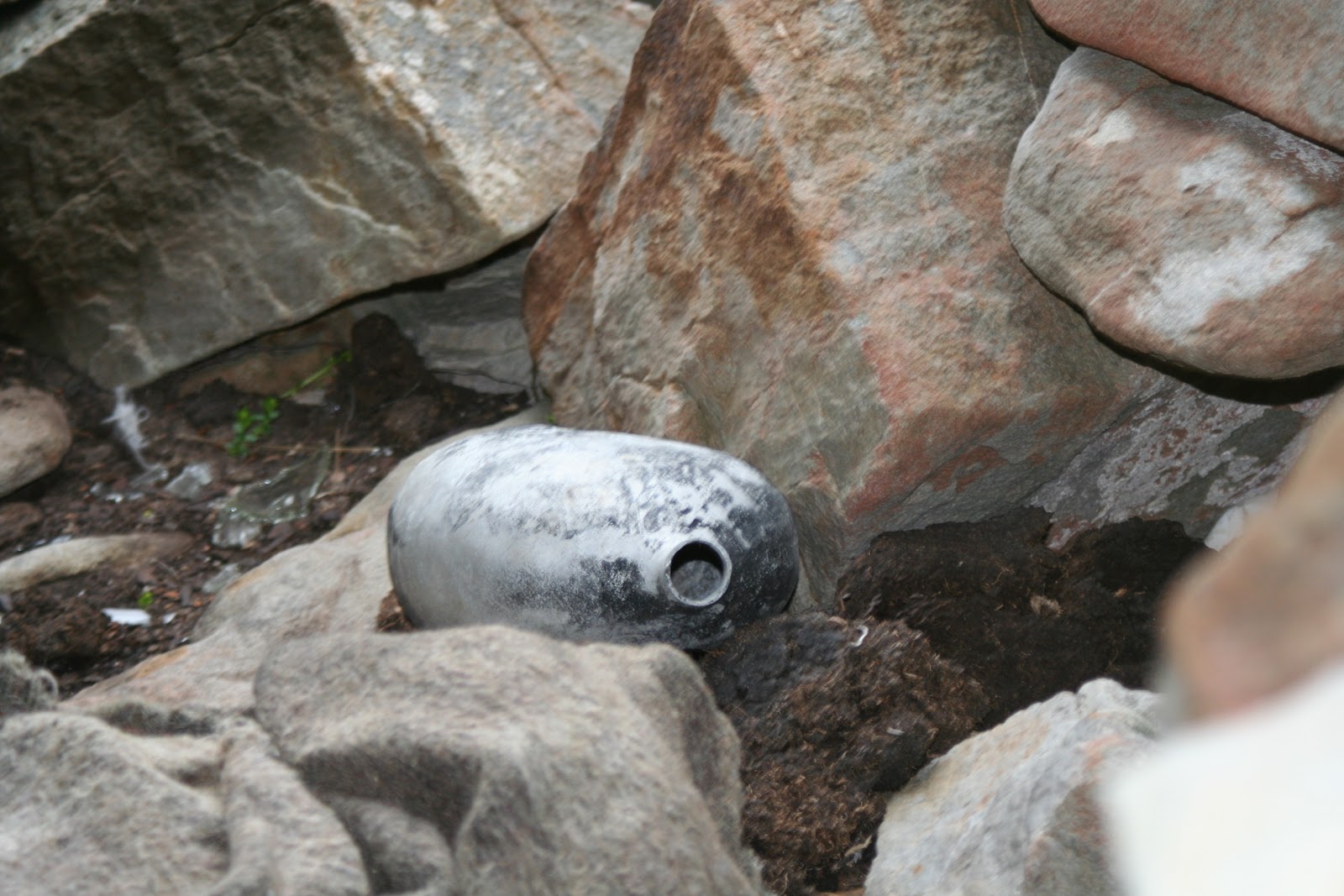 Big Falkland's Adventure: Mount Tumbledown