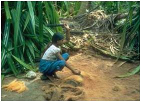 elyy schaphh vann: Maldives Culture