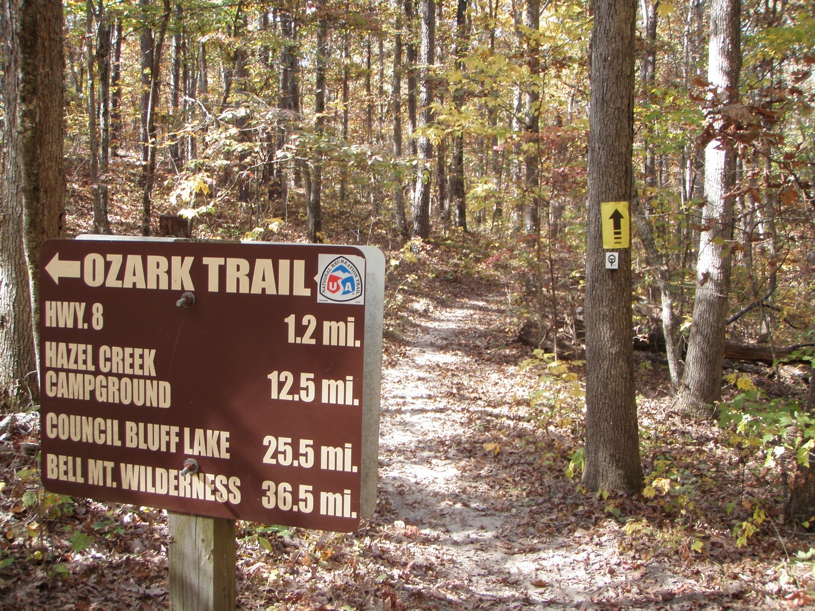 Carey's Cycling Chronicles: Berryman Epic Race Report