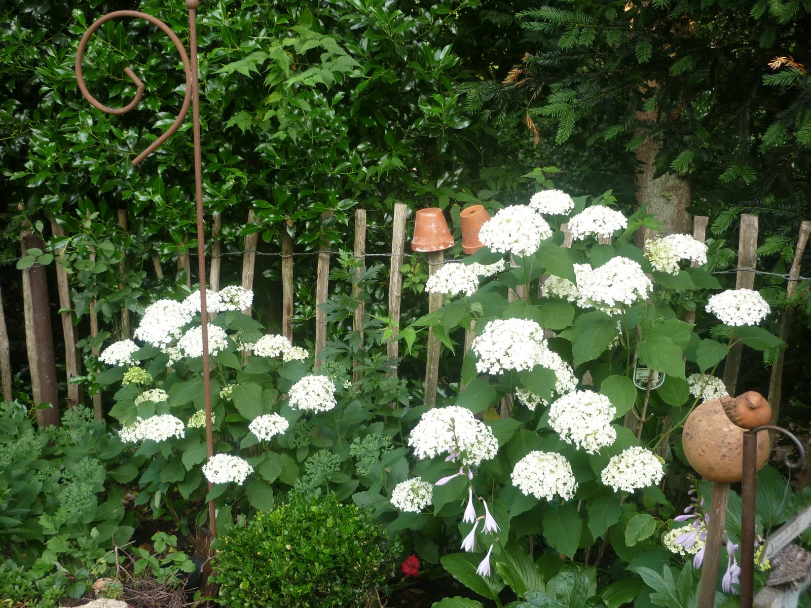 Monica Roccaforte Wikipe