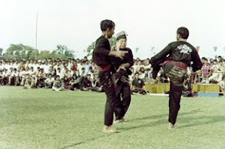 PERSATUAN SENI SILAT SENDENG MALAYSIA: Sejarah - Seni Silat Sendeng