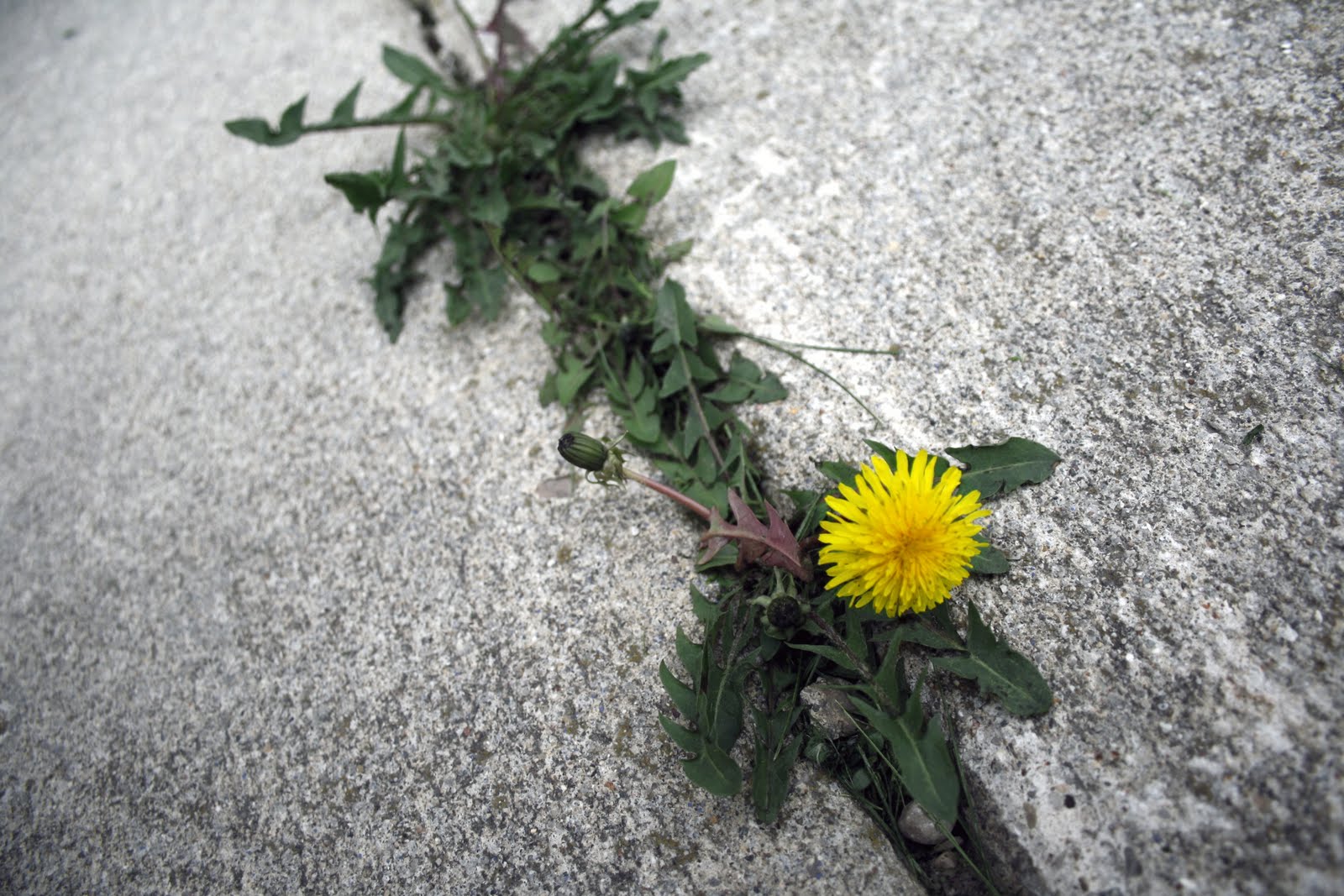 Katy O! Photography: Composition: Simplicity