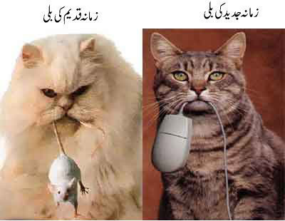 KEEP SMILING: CAT HAS CAUGHT MOUSE..... COMPUTER MOUSE ... LOLZZ