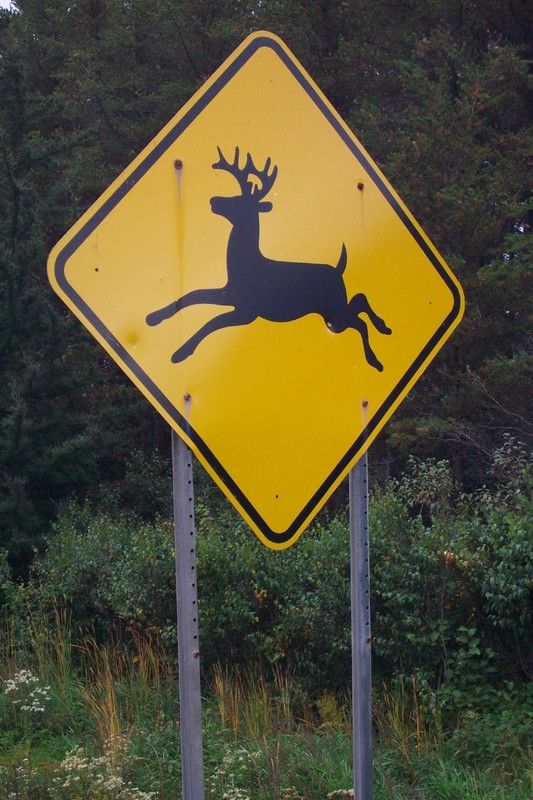 The Lansey Brothers' Blog: Overly specific quebec signs 2/2