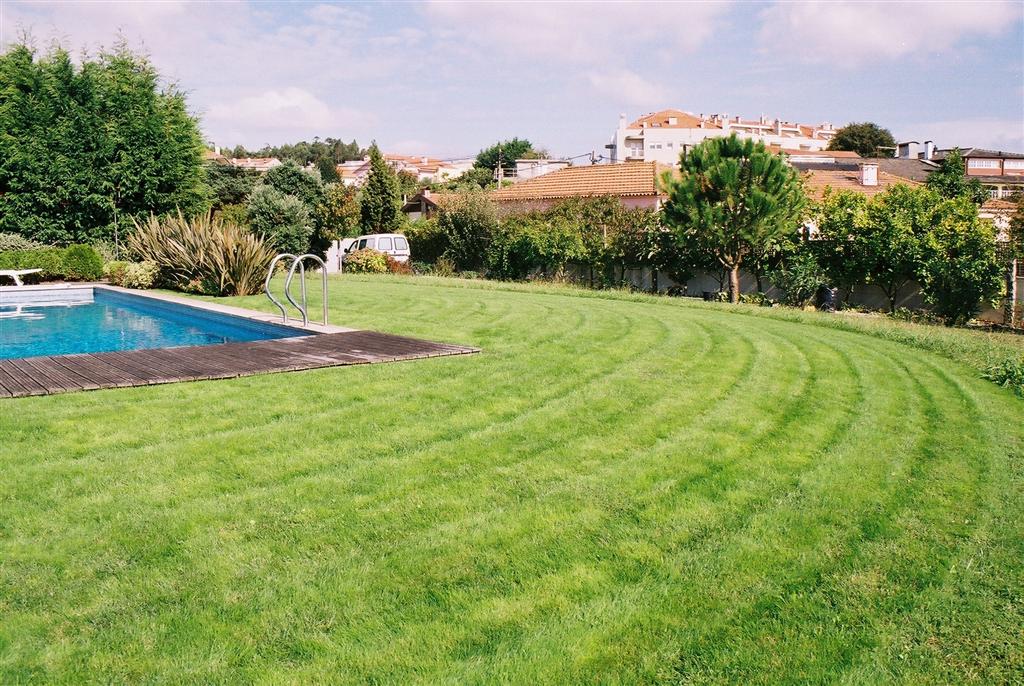Manutenção de Jardins: Relvado em Francelos