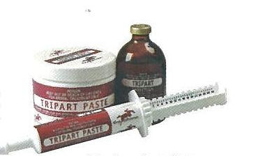 MANO Equestrian Services: TRIPART