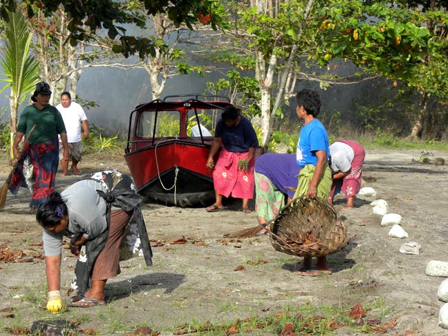 SPacific Experience: Village Projects