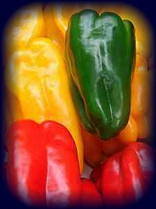 PLANTAS MEDICINAIS: PIMENTÃO - Capsicum annuum L.- Propriedades ...