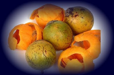 Fotos nos fatos: TUCUMÃ: Fruto da Amazônia