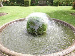 Cathy's Green Thumb: The Water Garden