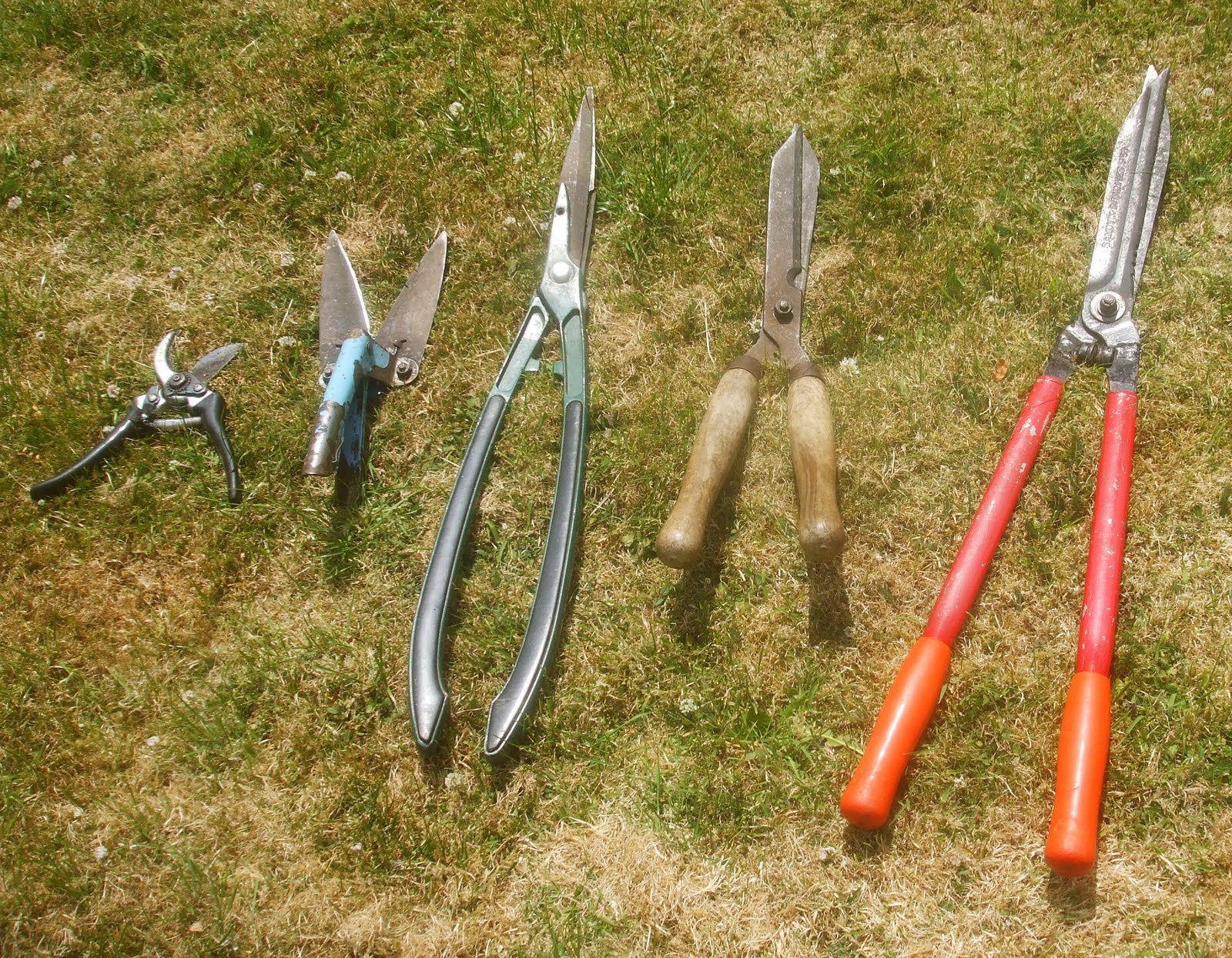 Basic Topiary | Small Scale World