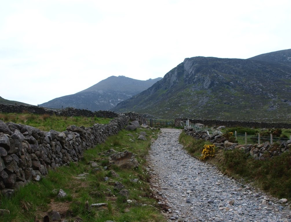 UlsterWalker: Mourne Way Marathon 2010