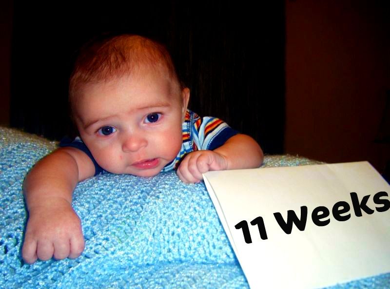 Our Scott Spot: 11 Weeks