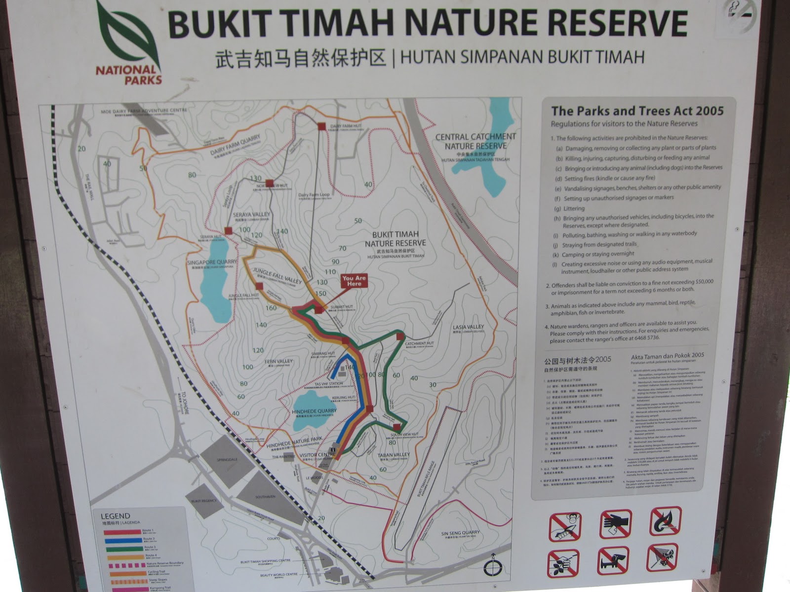 ♥ oF |ittle fO0tpRints...: Hiking @ Bukit Timah Nature Reserve