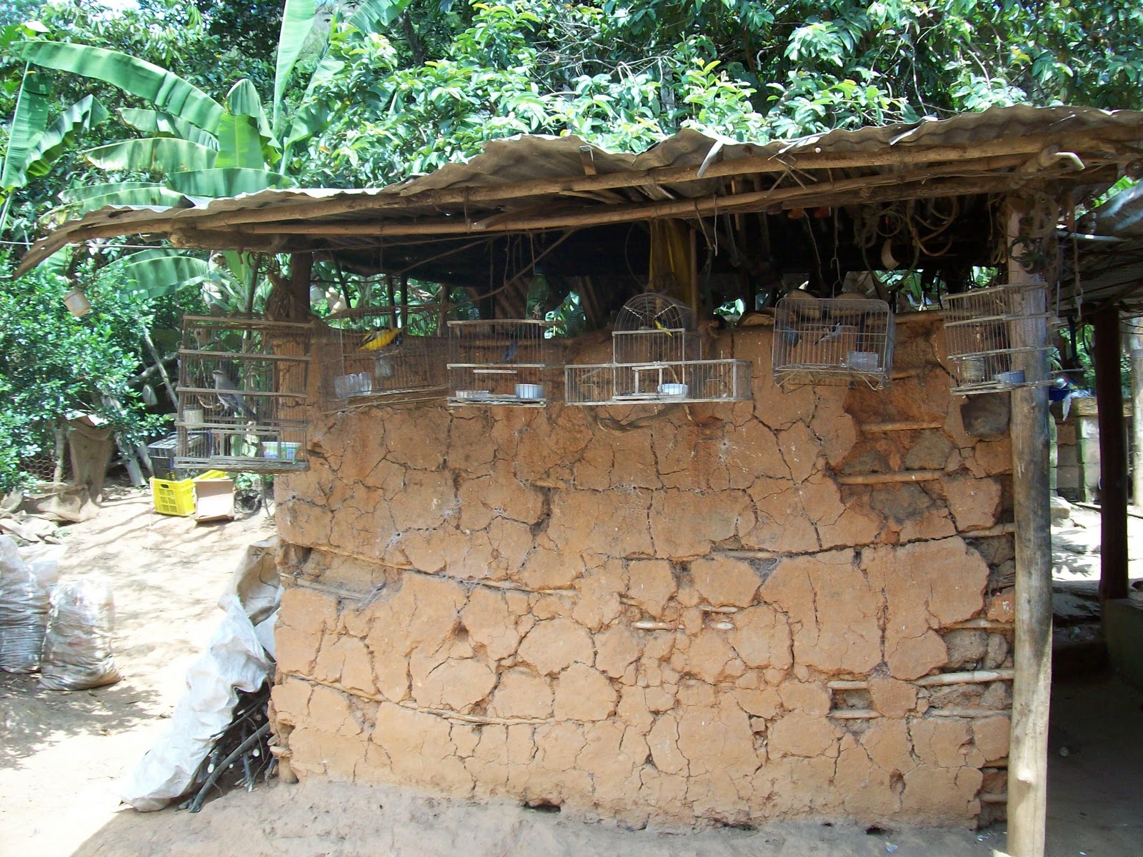 Escuela Paramaconi en los Valles Altos de Carabobo: Taller V Exposición ...