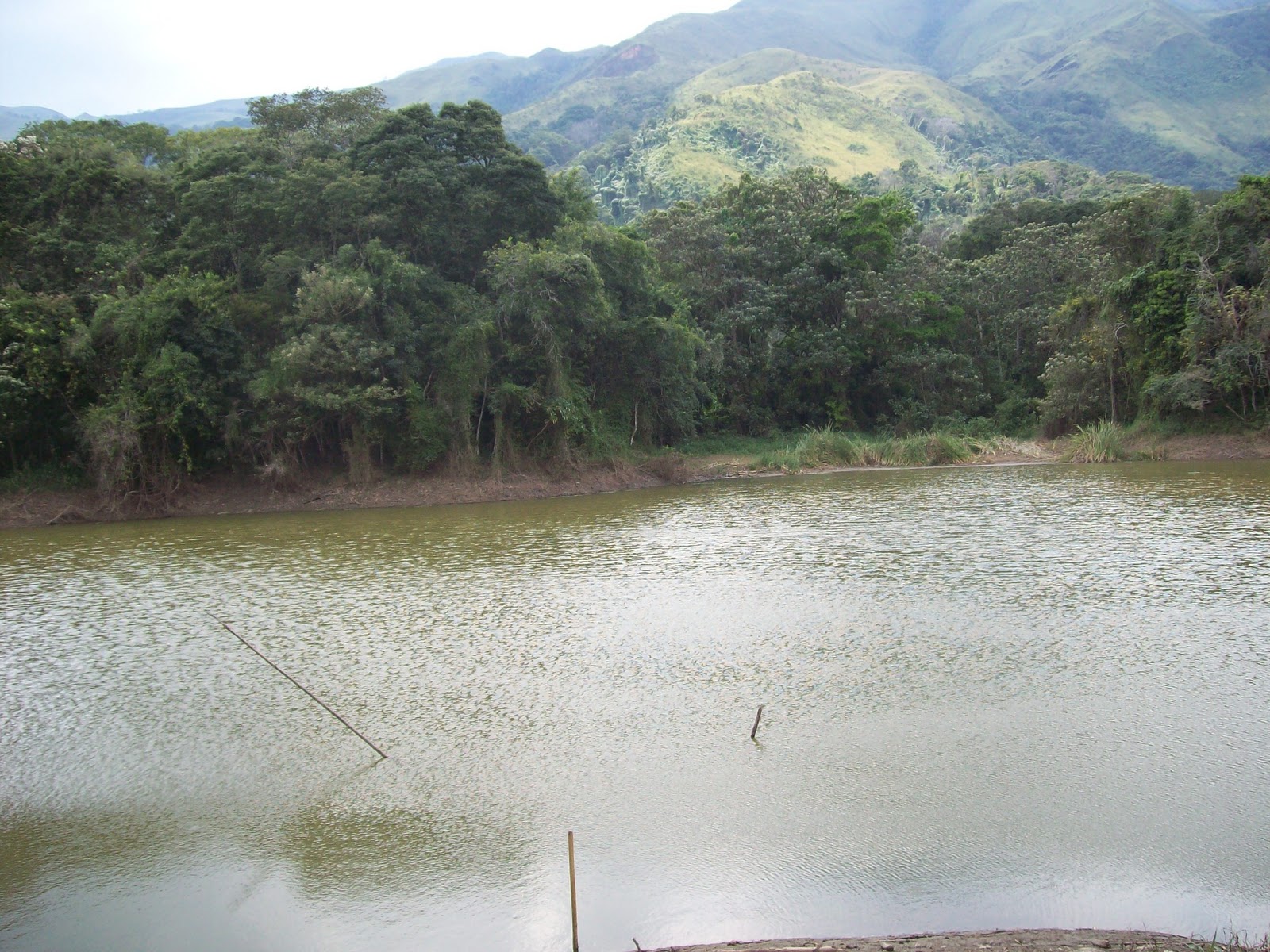 Escuela Paramaconi en los Valles Altos de Carabobo: Taller V Exposición ...