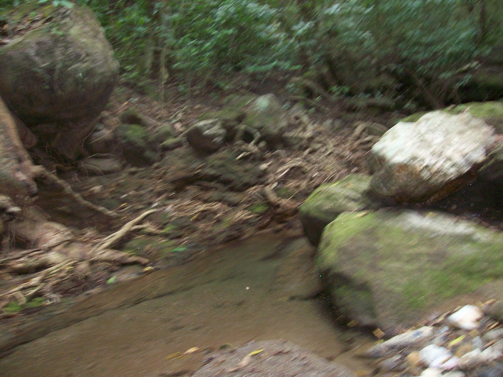 Escuela Paramaconi en los Valles Altos de Carabobo: Taller V Exposición ...
