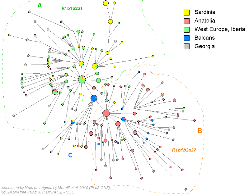 For what they were... we are: Some new insights in the phylogeny of Y ...