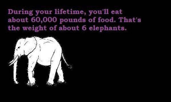 23 Interesting Life Facts