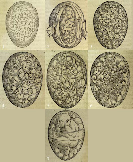 Historia de la biologia: Principios teoricos