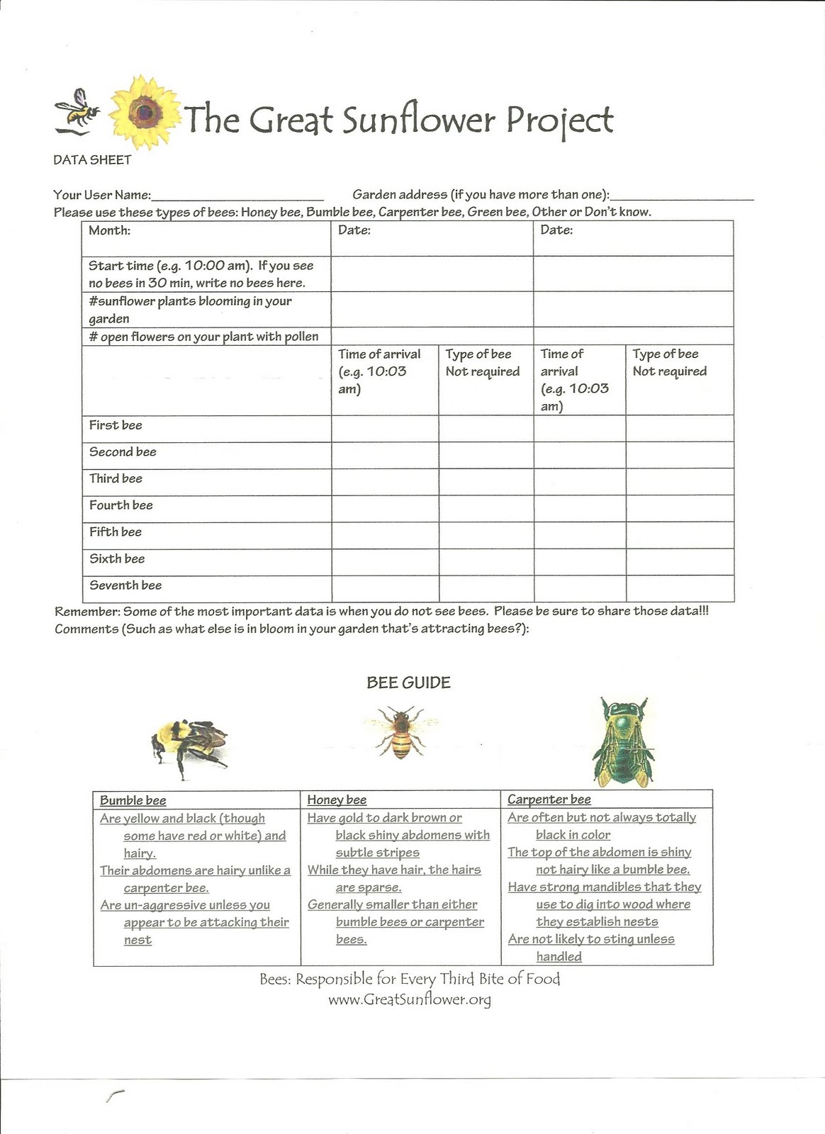 Gardening From the Ground Up: FOR THE BIRDS