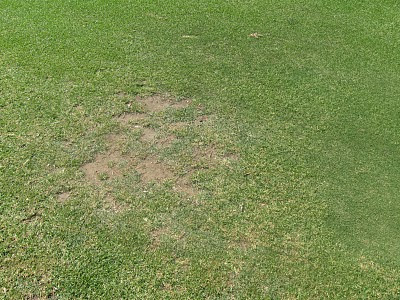Northbridge Golf Club Course Maintenance: Turfing patches in Fairways.