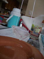 me hodge: Mini blog #2- Ice on a string