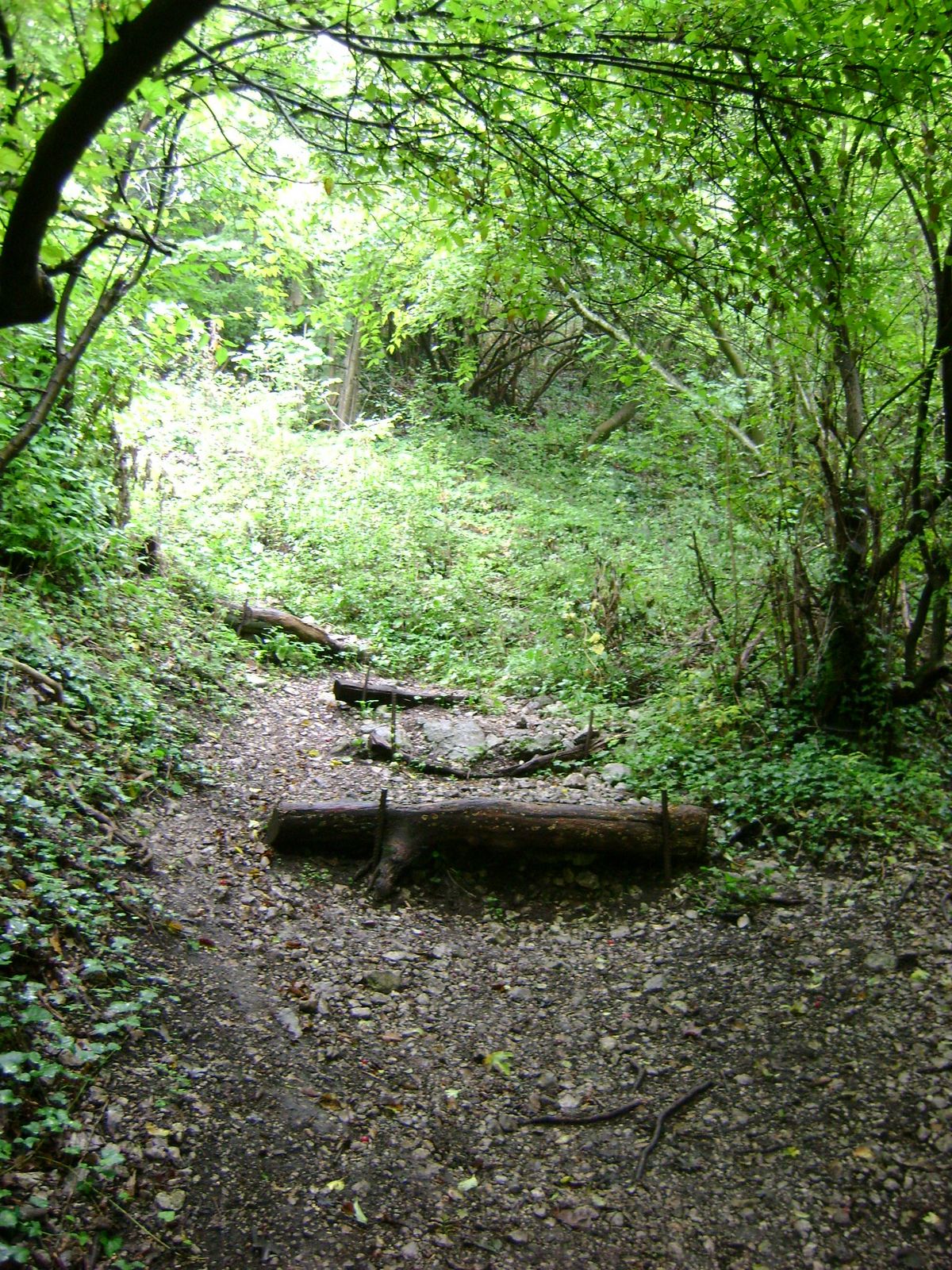 Ljepote planina: Kalnik, rujan 2010.