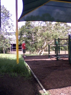 Fig Tree Pocket Friends: Flood Photos January 2011