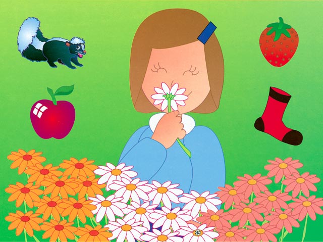 DESARROLLO COGNITIVO Y MOTOR. 1º CFGS EDUCC. INFANTIL: ESTIMULACIÓN ...