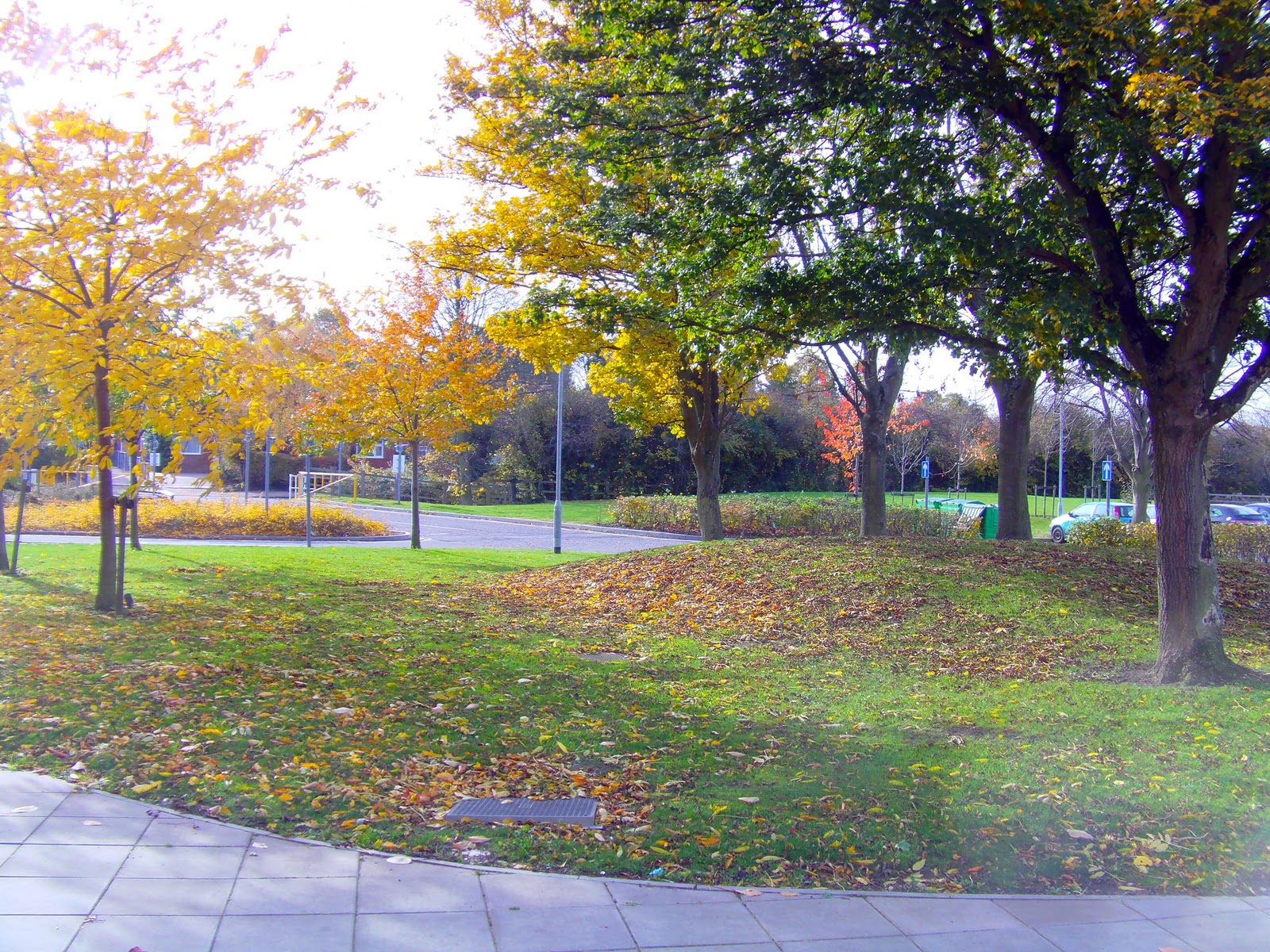 james prunty media: Preliminary