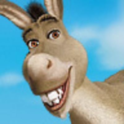 Cast of Characters: Donkey