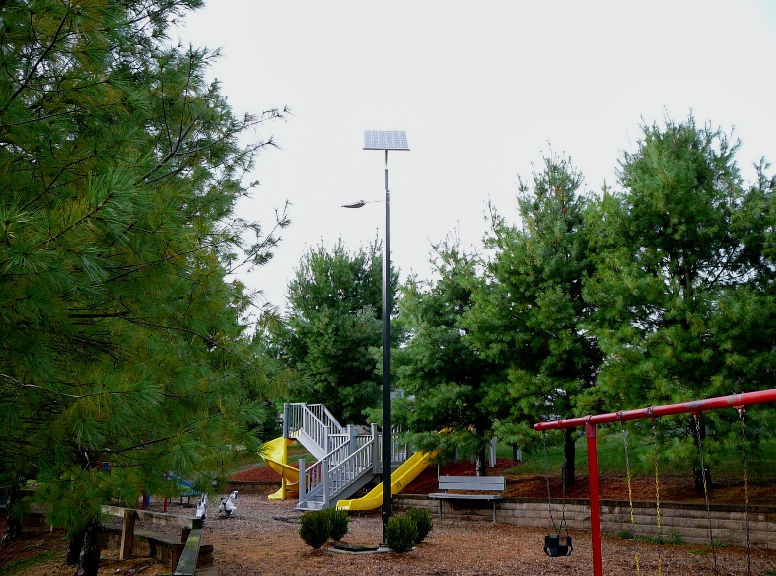 green energy initiatives llc: Installed Solar Street Light for Playground
