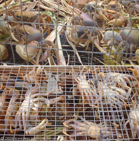 Les Casseroles de Nawal: Matoutou de Crabes pour des Fêtes Pascales à l ...