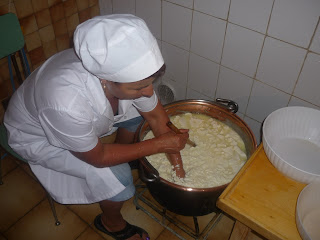 azienda agricola matteucci mauro