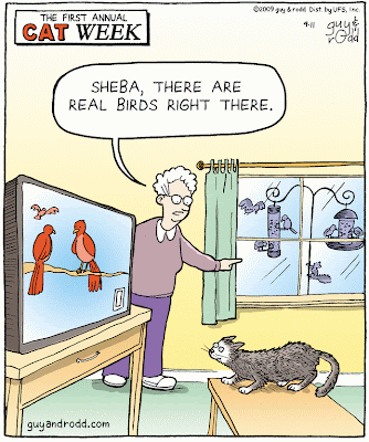 Curiosity killed the cat, Satisfaction brought it back: More Cat Funnies