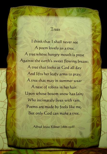 Creative Lynks: Lovely as a tree