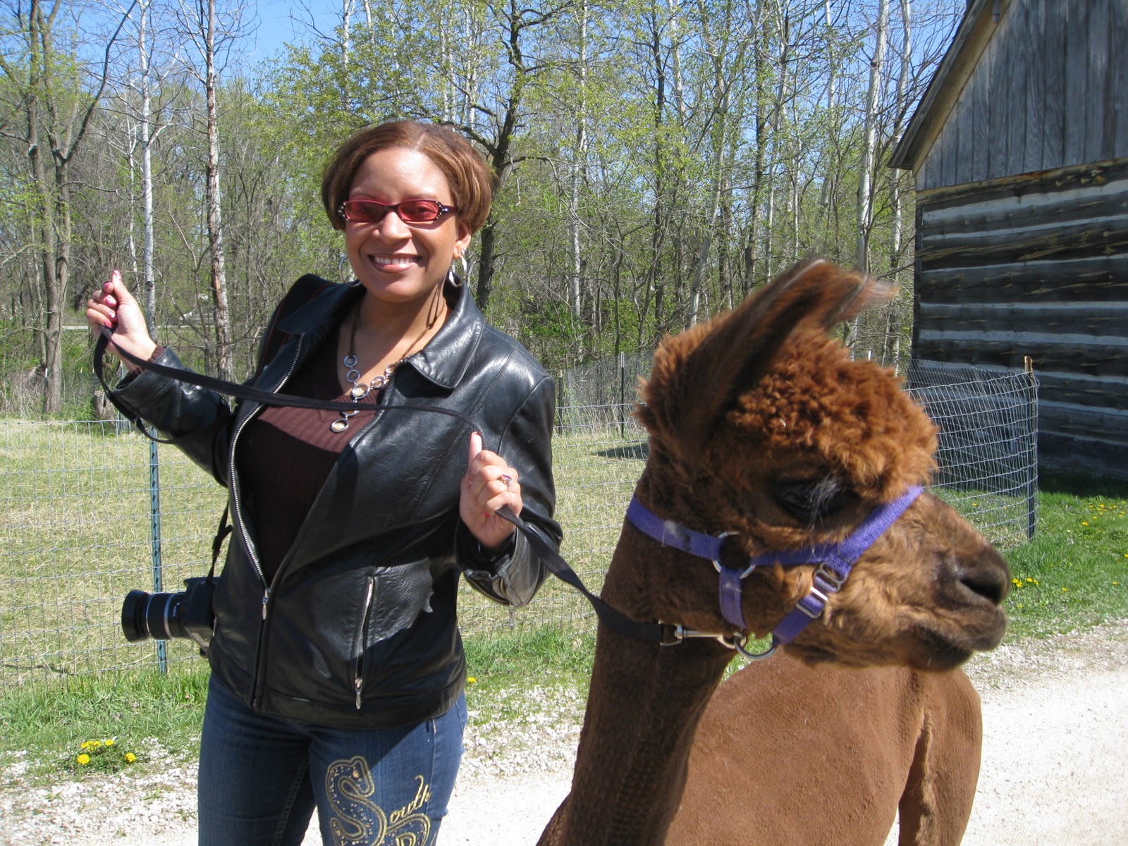 Honest & Truly Reviews....: Galena Getaway Recap Part III