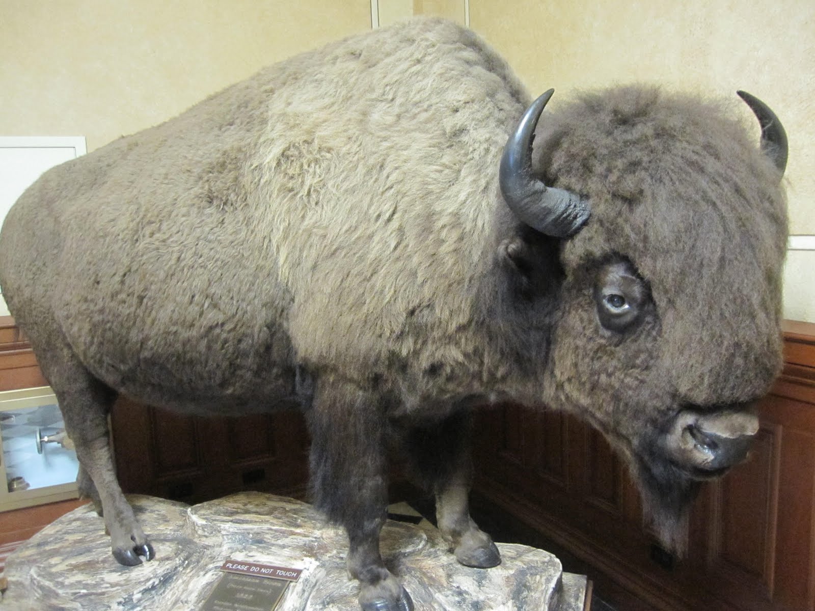 Ken B Travels: Summer 2010 Westward Journey Part III: Through Nebraska ...