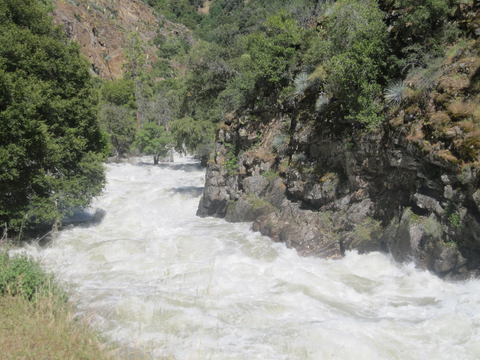 Ken B Travels: Kings Canyon and Sequoia National Parks